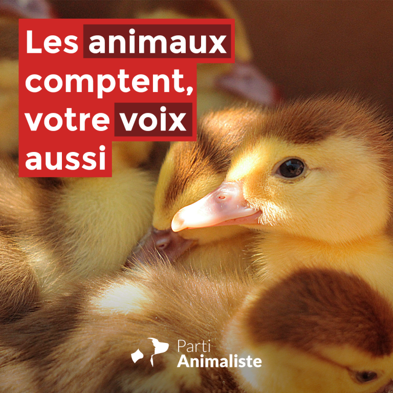 Visuel-slogan-PA-1 - Parti animaliste