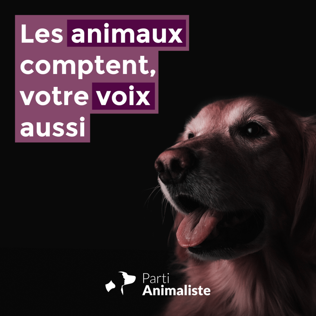 Ressources à partager - Parti animaliste
