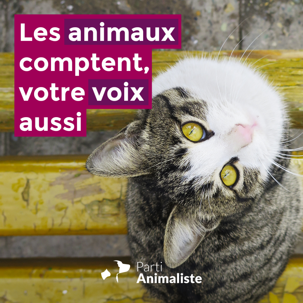 Visuel-slogan-PA-5 - Parti animaliste
