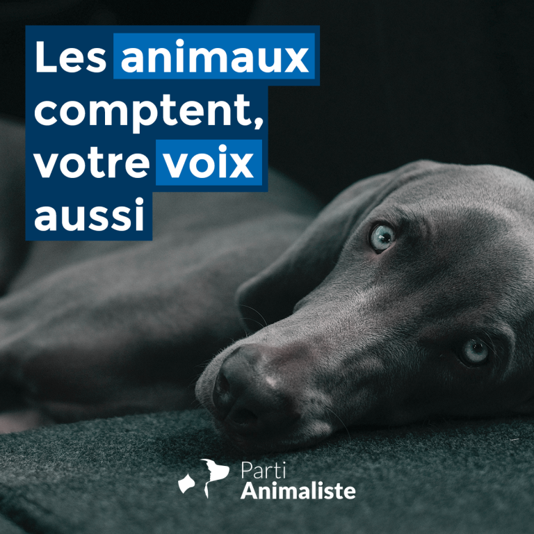 Visuel-slogan-PA-6 - Parti animaliste
