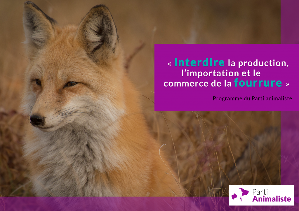Visuel_programme_fourrure - Parti animaliste