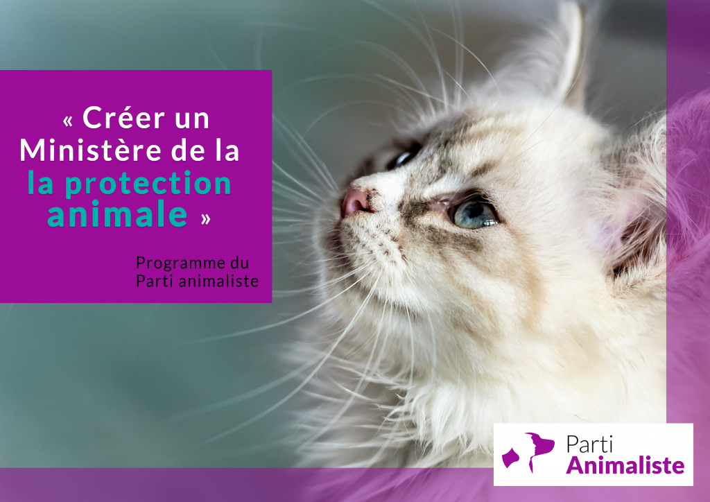 Visuel_programme_ministere - Parti animaliste