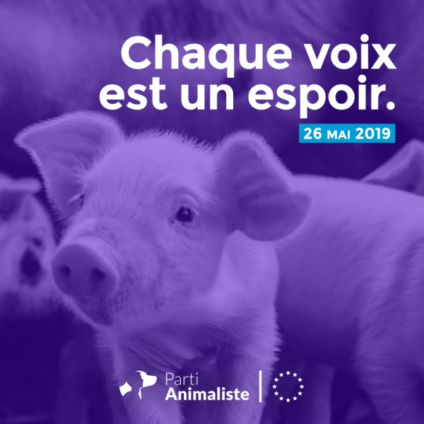 Ressources à partager - Parti animaliste
