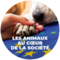 Programme - Parti animaliste